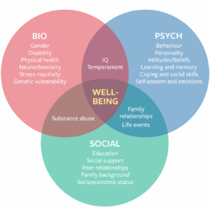 The Alarming Hijacking of the BioPsychoSocial Model: Marion Brown on ...